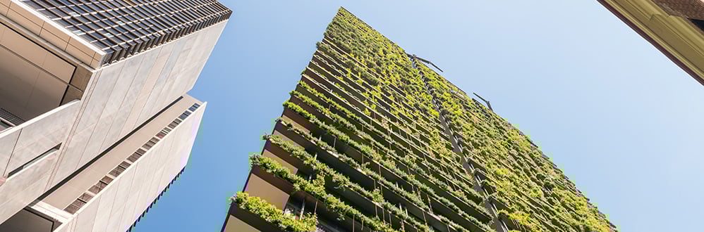 Decarbonisation: A long-term opportunity amid geopolitical uncertainty - Professional investor